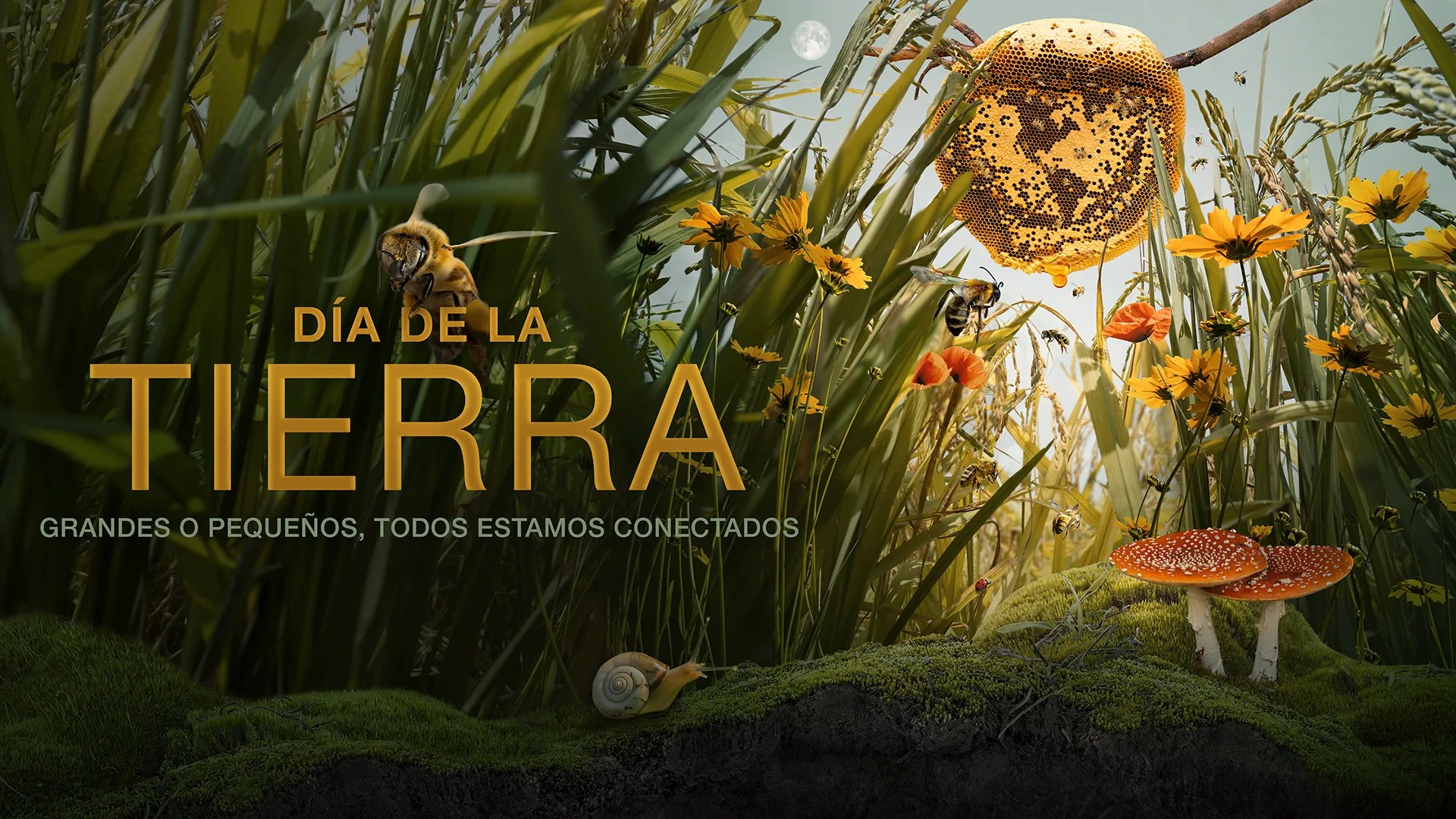 Día de la Tierra 2021: Grandes o pequeños, todos estamos conectados ...