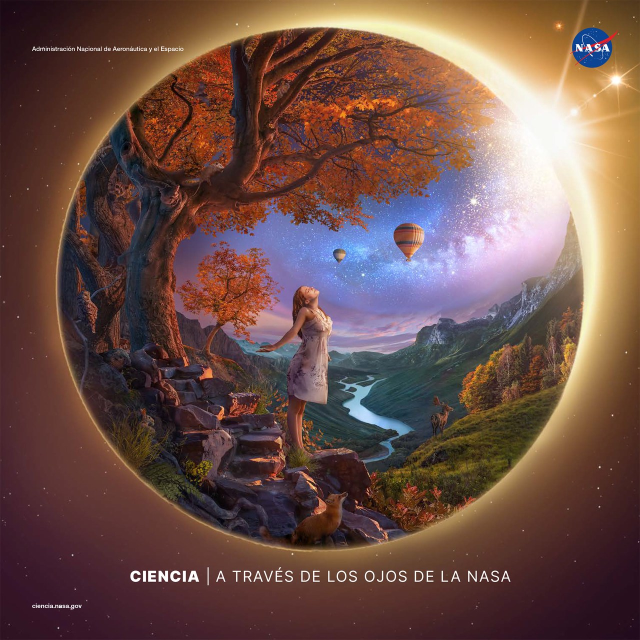 Póster de la serie Exploradores: Ciencia - NASA Ciencia